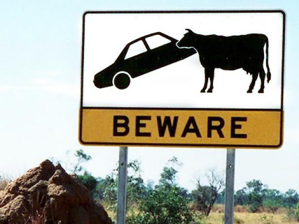 10 Weird Road Signs That You Won't Believe Exist by Fremont Insura