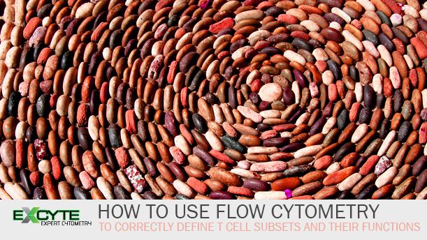 Using Flow Cytometry To Correctly Define T Cell Subsets And Their Func