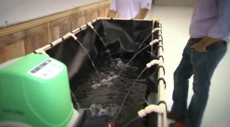 Florida's First Body-Freezing Cryonics Facility Now Open In Miami