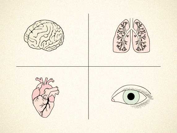 The 4 Types of Productivity Styles by Rue Insurance