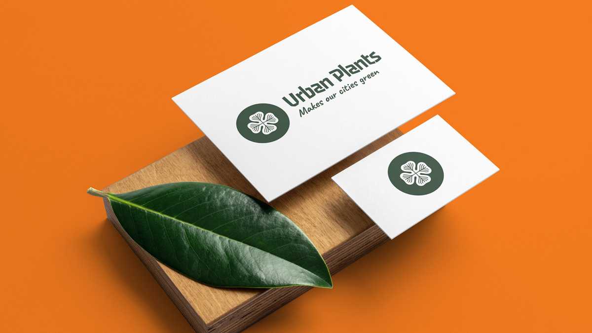 My Brand New Logo 5 Tips To Get New Logo Ideas By North Star Marketi my-brand-new-logo-5-tips-to-get-new-logo-ideas-by-north-star-marketi