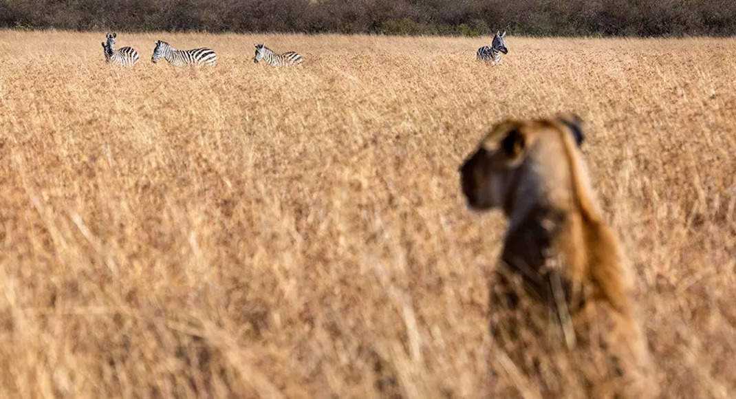 The eat map: how eating between long fasts can reverse lifestyle di...