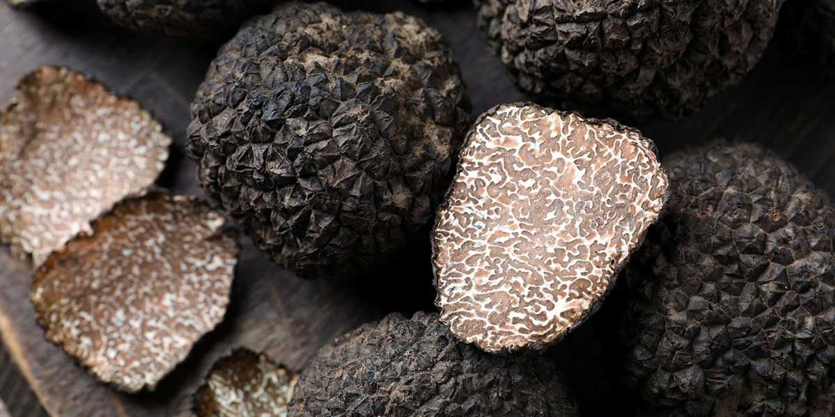 What Is a Truffle and What Does It Taste Like? by All & All Servic