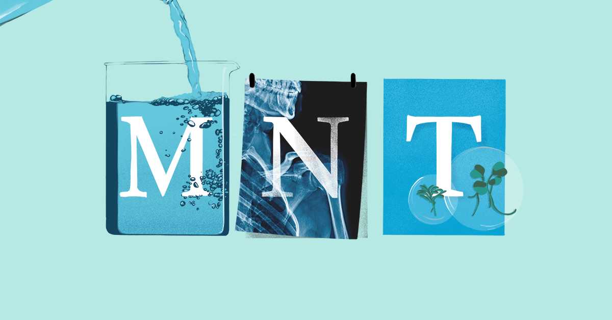 What is the fundus of the stomach? Anatomy and function by Saint Marys